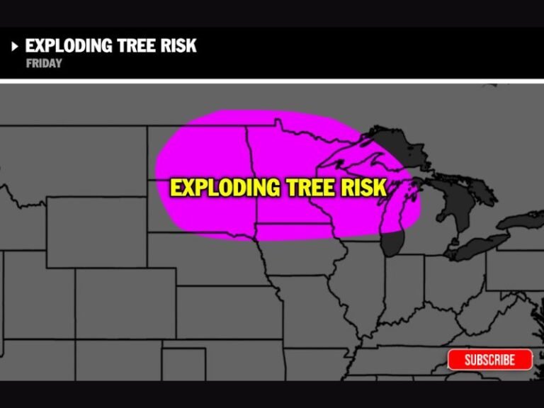 Extreme Arctic Cold Could Trigger “Exploding Tree” Risk Across North ...